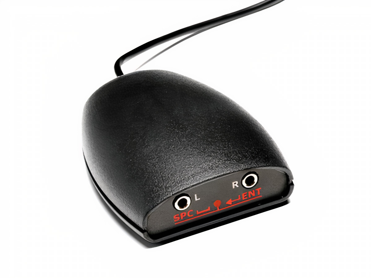 Simply Switch Interface (USB) - Pretorian | Active-Shop